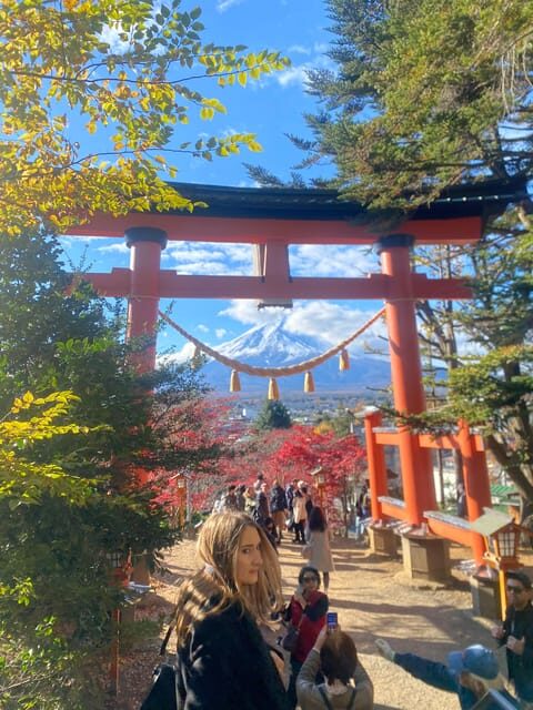 From Tokyo: Mount Fuji Private Day Trip with Pickup - What Travelers Love—and What They Don’t