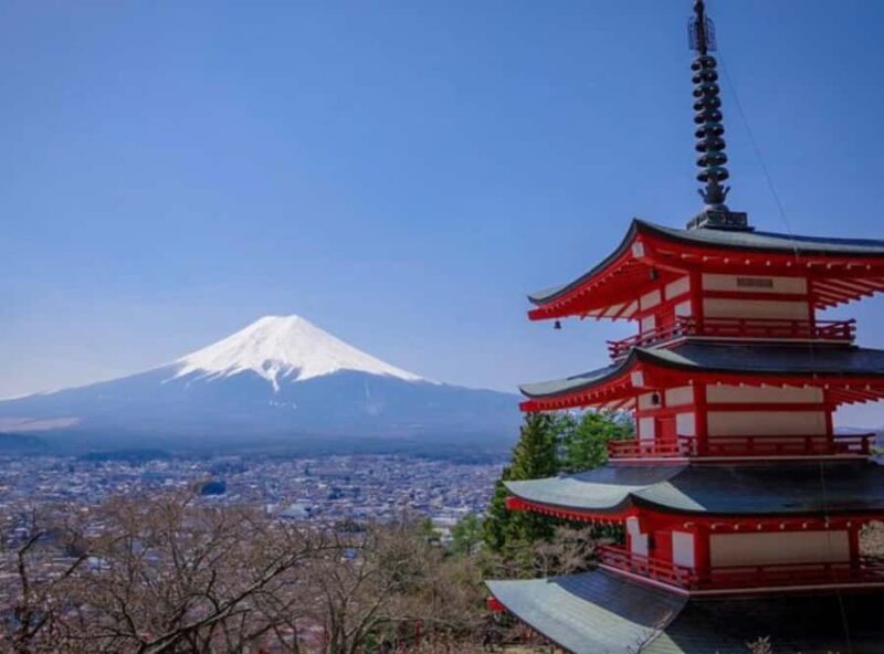 From Tokyo: Mount Fuji Private Full-Day Tour with Guide - Key Points