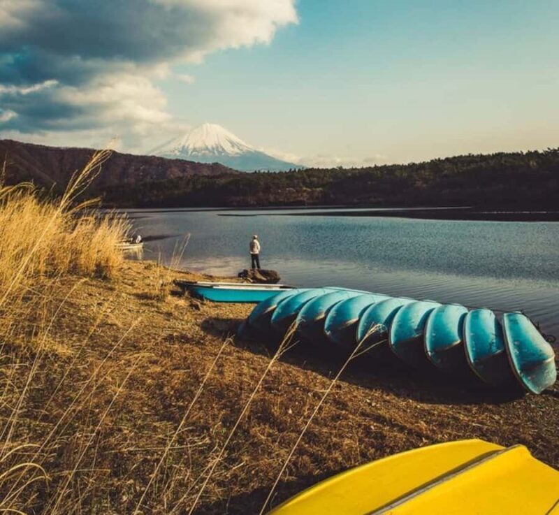 From Tokyo: Mount Fuji Private Full-Day Tour with Guide - Who Will Love This Tour?