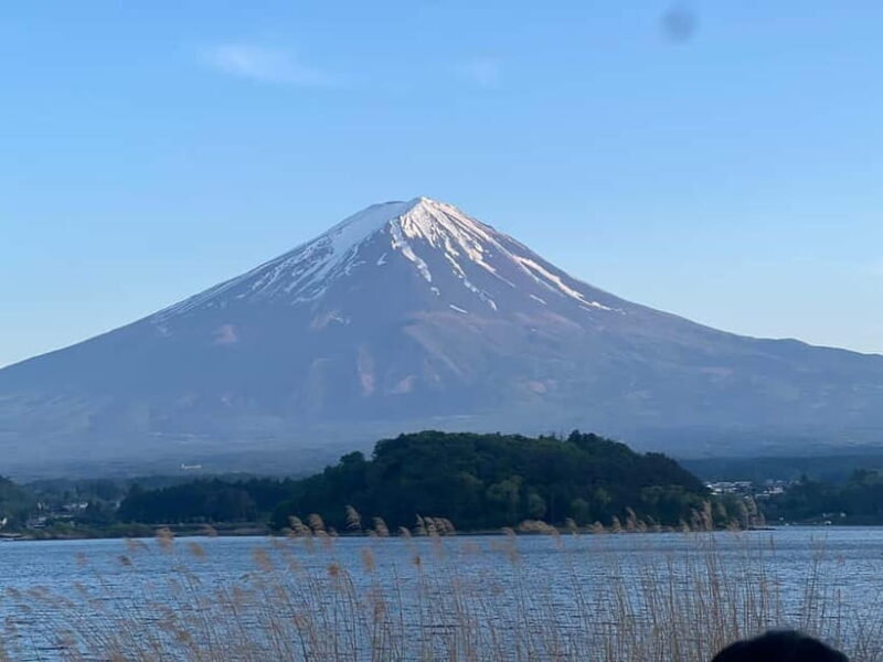 From Tokyo: Mount Fuji Private Tour with a Driver/Guide - From Tokyo: Mount Fuji Private Tour with a Driver/Guide — A Detailed Look