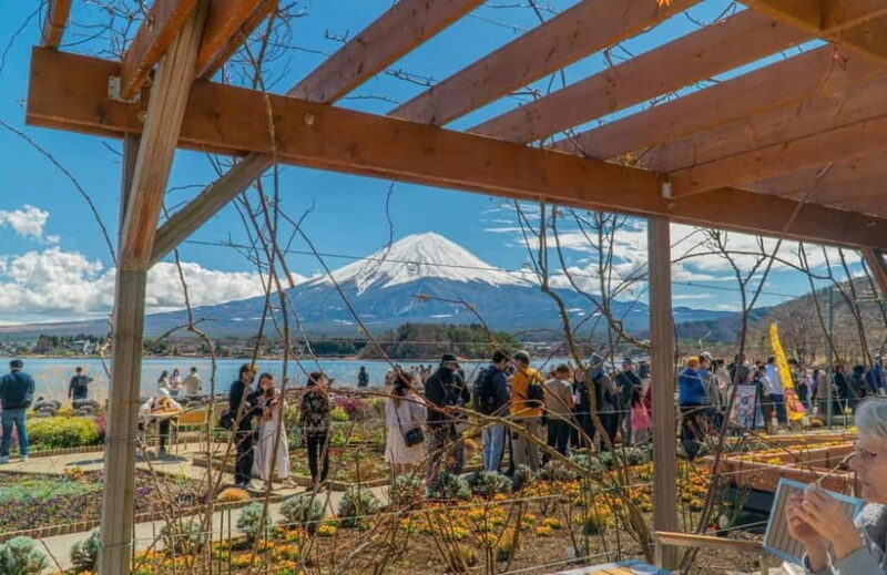From Tokyo: Mount Fuji Private Tour with a Driver/Guide - Practical Details & Considerations
