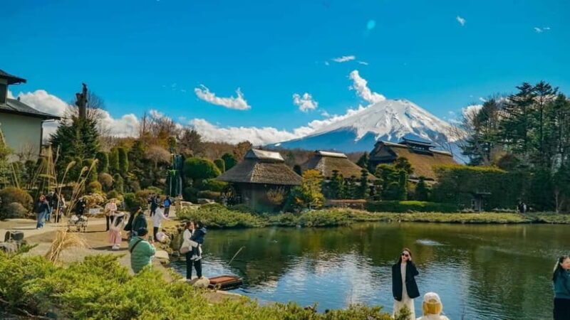 From Tokyo: Mount Fuji Private Tour with a Driver/Guide - Final Thoughts: Who Should Book This Tour?