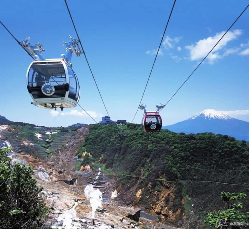 From Tokyo: Mount Fuji Private Tour with English Driver - Key Points