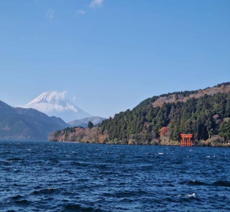 From Tokyo: Mount Fuji Private Tour with English Driver - The Tour Experience: A Deep Dive into the Journey