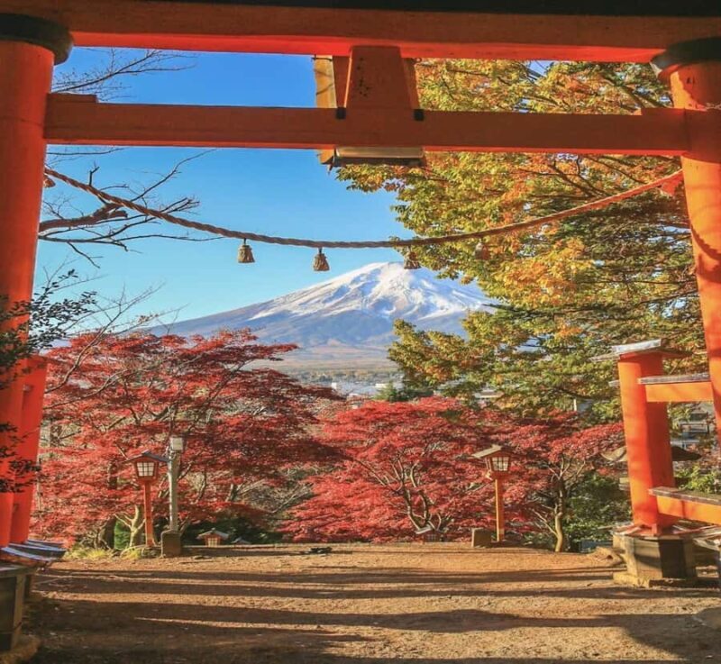 From Tokyo: Mount Fuji Private Tour with English Guide - Exploring the Mount Fuji Private Tour from Tokyo: A Detailed Review