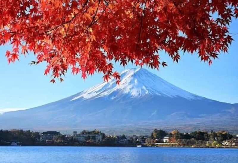 From Tokyo: Mount Fuji Private Tour With English Guide - An In-Depth Look at the Mount Fuji Private Tour