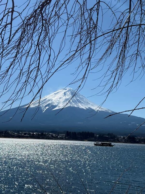 From Tokyo : Mount Fuji Private Tour with English Guide - An In-Depth Look at the Experience