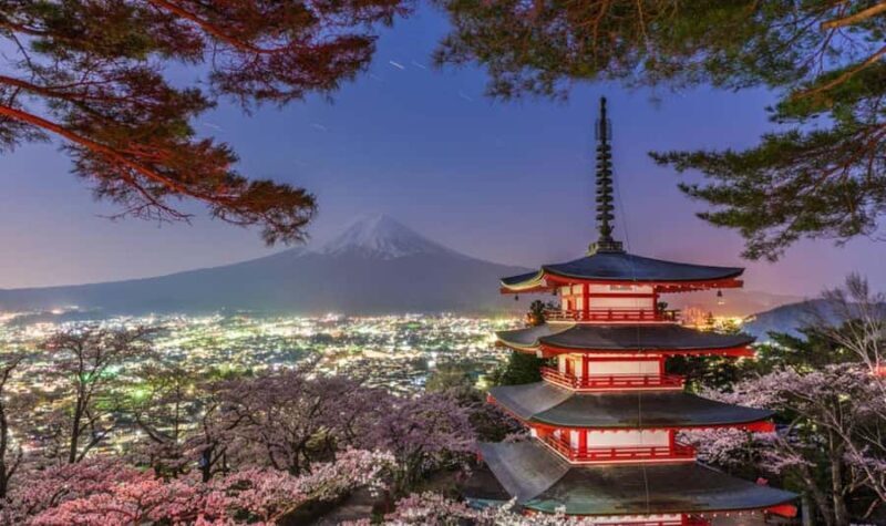 From Tokyo : Mount Fuji Private Tour with English Guide - Pricing and Value