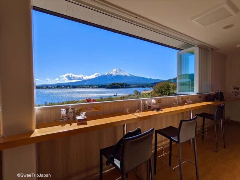 From Tokyo : Mount Fuji Private Tour with English Guide - Who Is This Tour Best For?