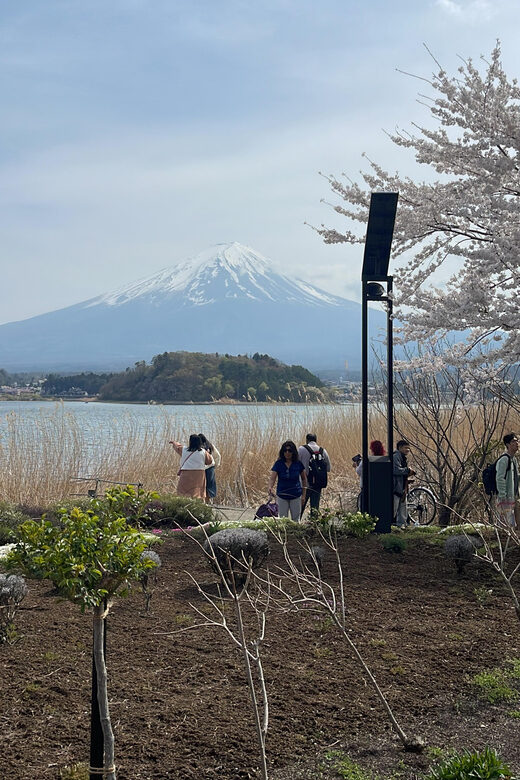 From Tokyo: Mount Fuji Private Tour With English speaking Dr - Key Points
