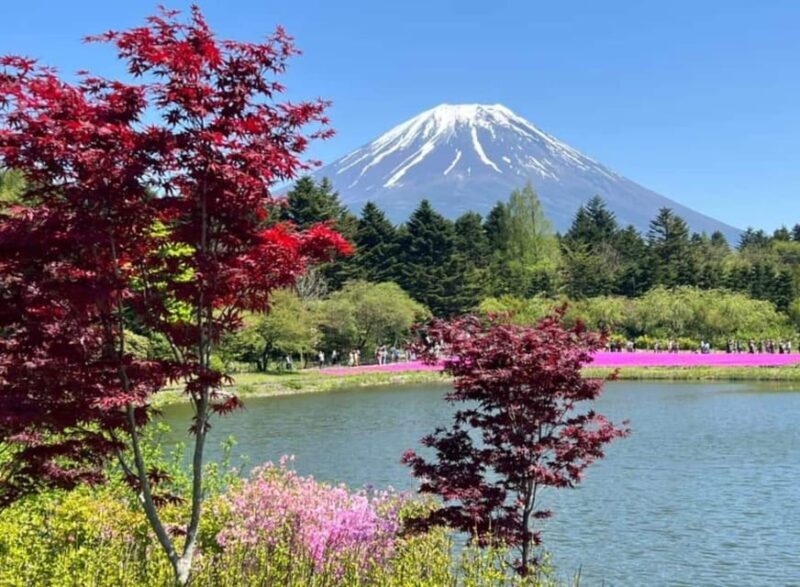 From Tokyo: Mount Fuji Private Tour With English speaking Dr - The Itinerary—A Breakdown
