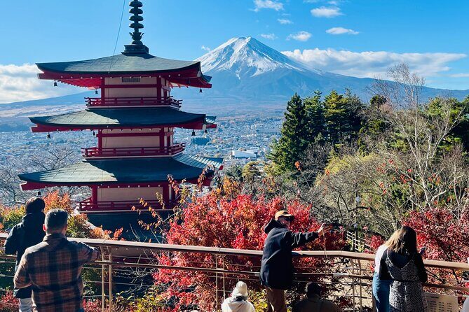 From Tokyo: Mount Fuji Private Trip with English Speaking Driver - Key Points