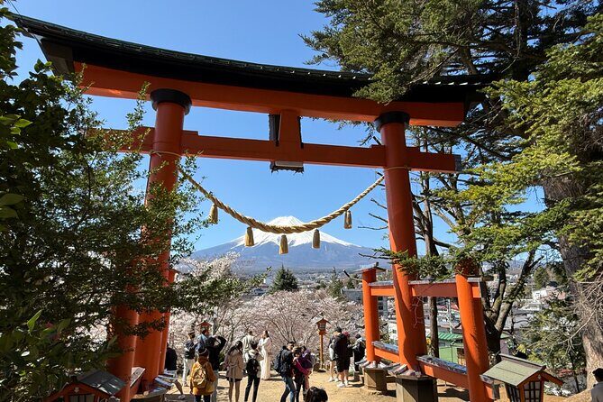 From Tokyo: Mount Fuji Private Trip with English Speaking Driver - Additional Considerations