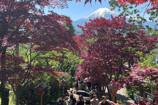 From Tokyo: Mount Fuji Private Trip with English Speaking Driver - FAQ