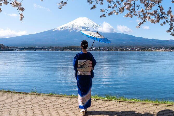 From Tokyo: Mount Fuji Sightseeing Full Day Trip - Who Will Love This Tour?