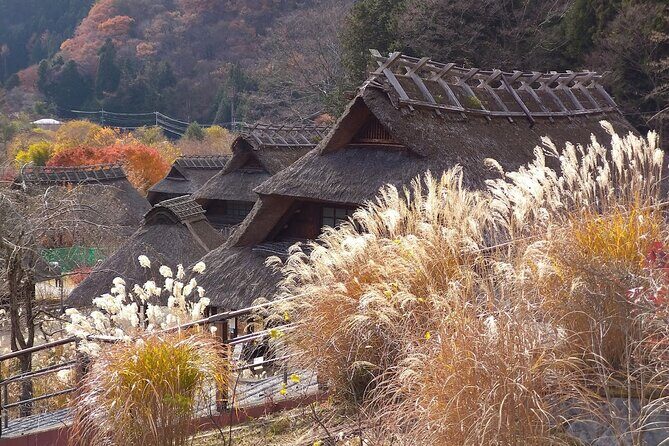 From Tokyo: Mount Fuji Sightseeing Full Day Trip - Who Might Want to Consider Alternatives?