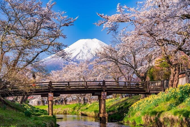 From Tokyo: Mount Fuji Sightseeing One Day Trip - Key Points