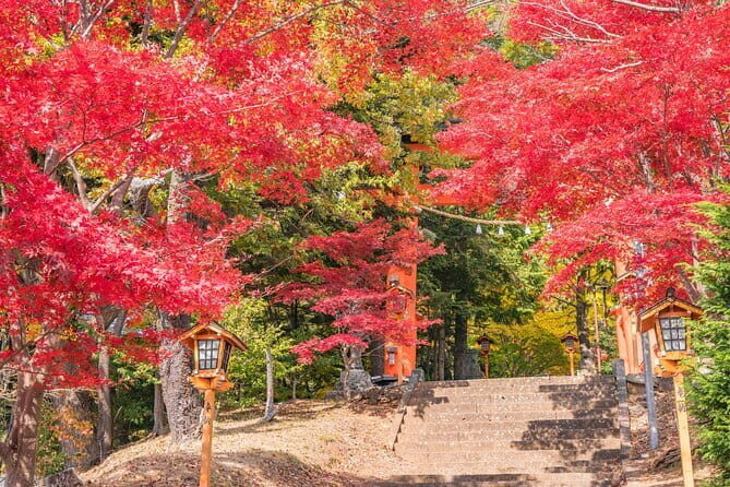 From Tokyo: Mount Fuji Sightseeing One Day Trip - Practical Details for Potential Participants