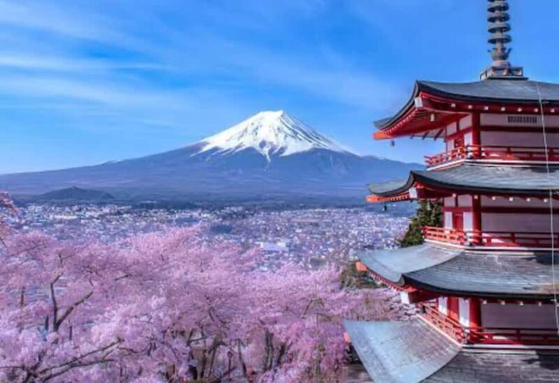 From Tokyo : Mount Fuji Tour With English Guide CUSTOMIZABLE - Introduction: A Scenic, Flexible Day Around Mount Fuji