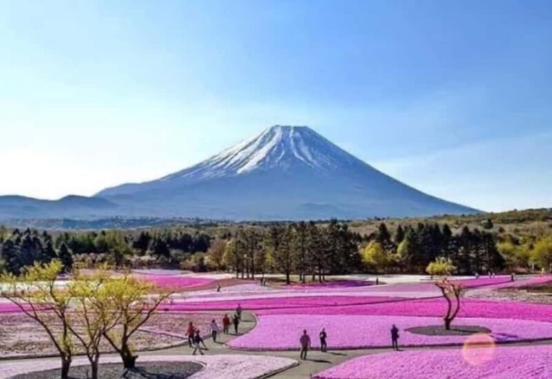 From Tokyo : Mount Fuji Tour With English Guide CUSTOMIZABLE - Detailed Breakdown of the Itinerary