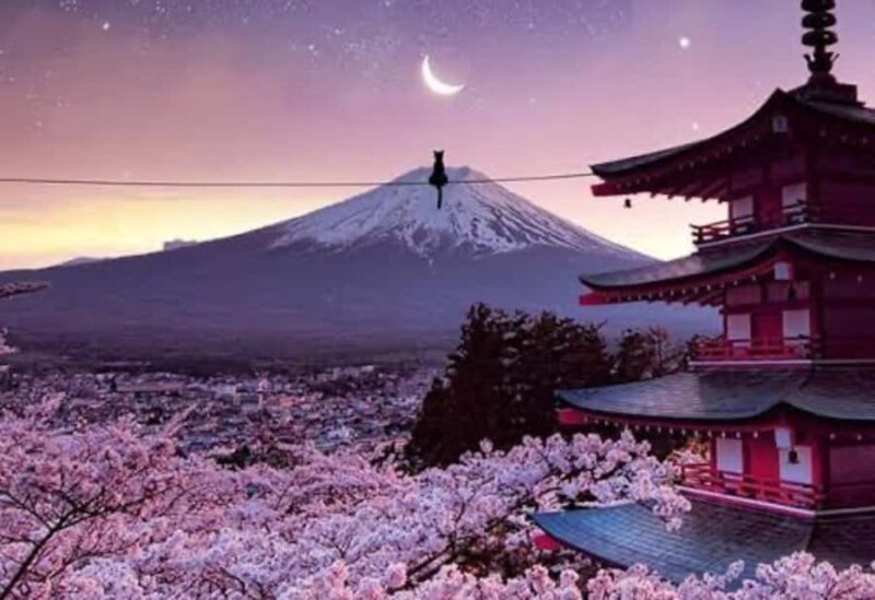 From Tokyo : Mount Fuji Tour With English Guide CUSTOMIZABLE - Final Thoughts: Who Will Love This Tour?