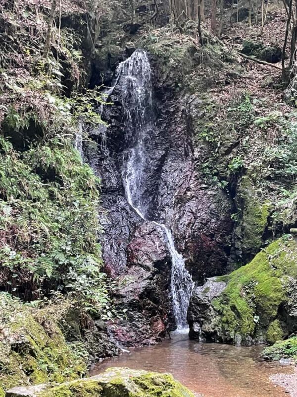 From Tokyo: Mountain Ridge Hike & Scenic Waterfall Day Tour - Key Points