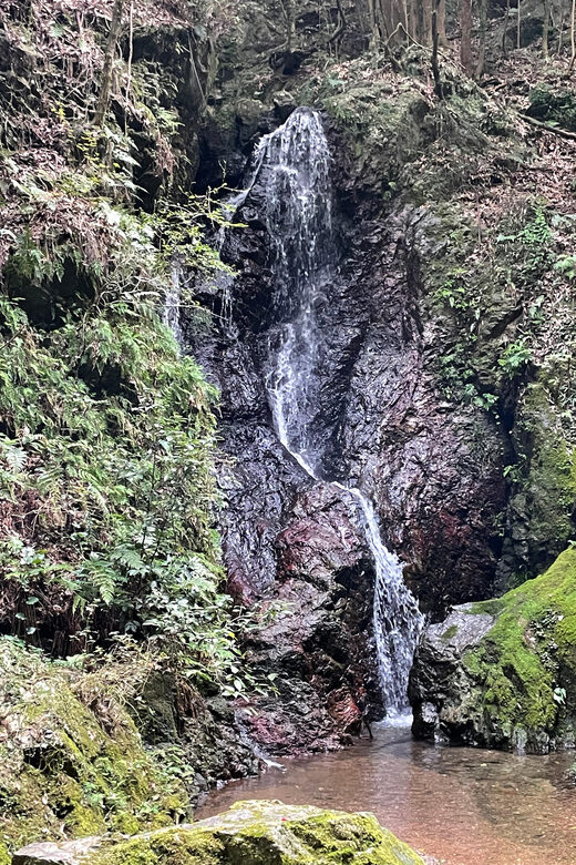 From Tokyo: Mountain Ridge Hike & Scenic Waterfall Day Tour - An In-Depth Look at What You’ll Experience