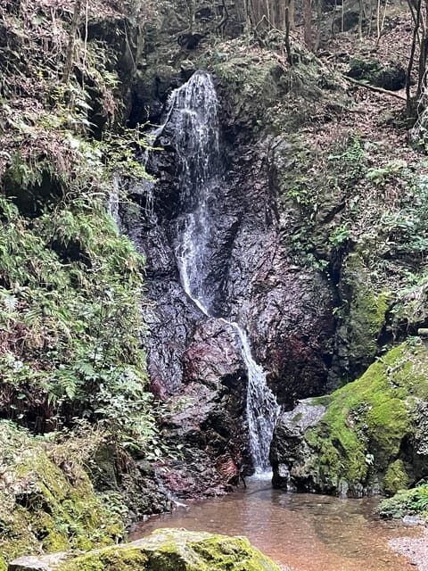 From Tokyo: Mountain Ridge Hike & Scenic Waterfall Day Tour - Who Should Consider This Tour?