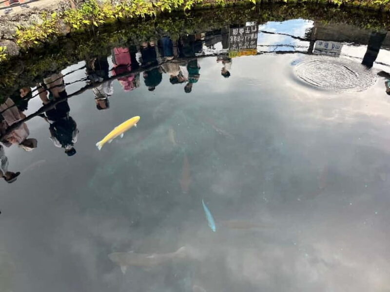 From Tokyo: Mt. Fuji 5th station and Oshino Hakkai Day Trip - An Authentic Day Trip to Japan’s Most Famous Mountain