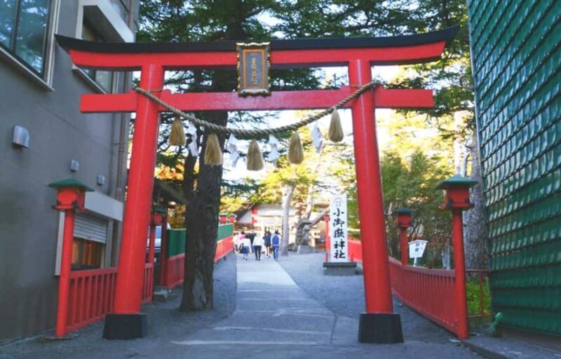 From Tokyo: Mt. Fuji 5th Station & Hot Spring Day Trip - Final Thoughts: Who Should Consider This Tour