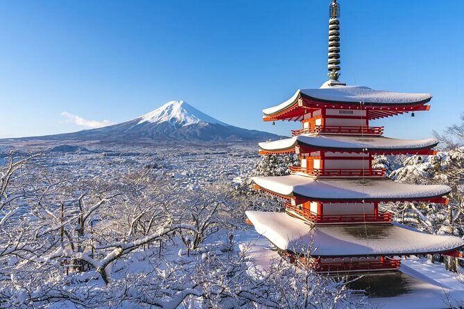 From Tokyo: Mt. Fuji 6 Attractions: Lake Kawaguchi, Oshino Hakkai - Key Points
