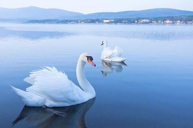 From Tokyo: Mt. Fuji 6 Attractions: Lake Kawaguchi, Oshino Hakkai - A Deep Dive into the Itinerary