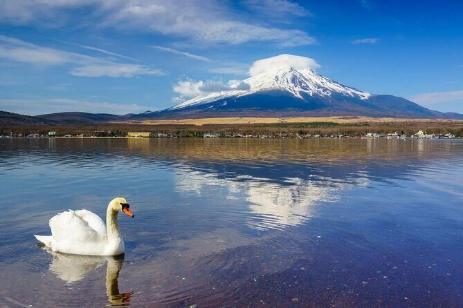 From Tokyo: Mt. Fuji 6 Attractions: Lake Kawaguchi, Oshino Hakkai - Frequently Asked Questions