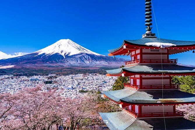 From Tokyo: Mt Fuji and Hakone Private Day Trip - Who This Tour is Best For