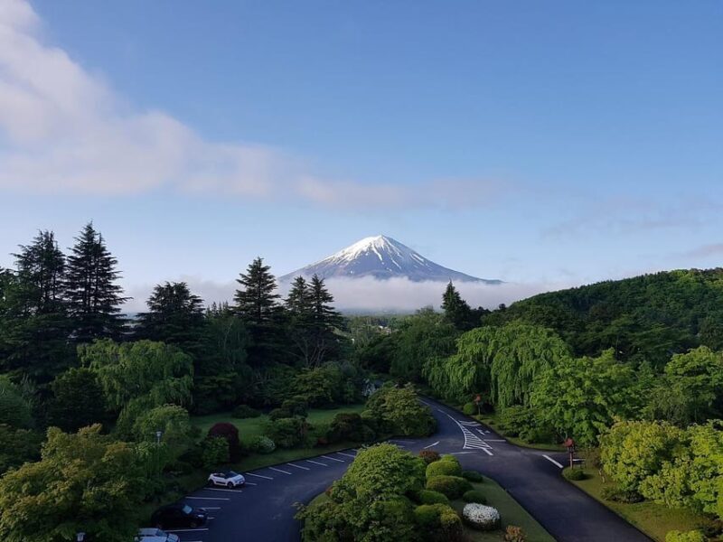 From Tokyo: Mt. Fuji And Hakone Private Sightseeing Day Trip - A Detailed Look at the Tour Experience
