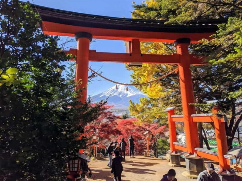 From Tokyo: Mt Fuji, Arakurayama and Kawaguchi Lake Day Trip - Key Points