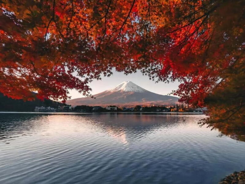 From Tokyo: Mt Fuji, Arakurayama and Kawaguchi Lake Day Trip - What’s Included & What’s Not