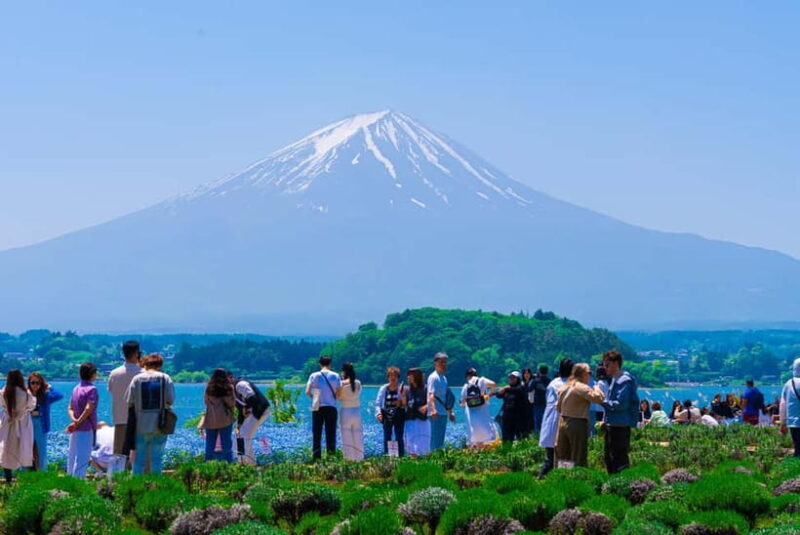 From Tokyo: Mt Fuji, Arakurayama and Kawaguchi Lake Day Trip - The Value of This Tour