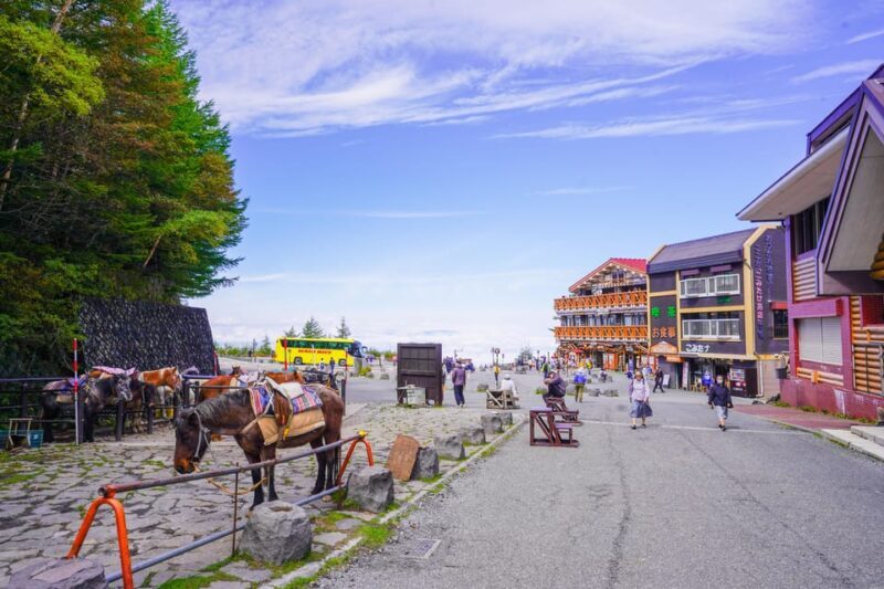 From Tokyo: Mt. Fuji Day Tour w/ Private Car & Nature Guide - Pricing and Value