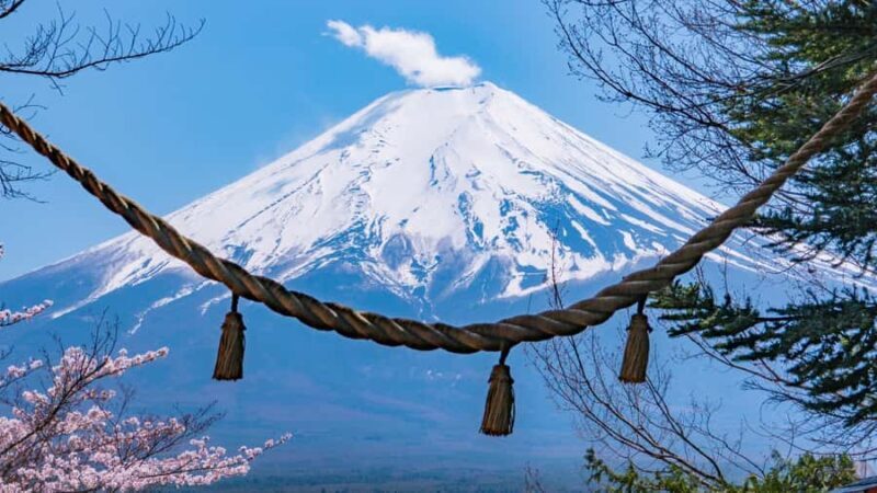 From Tokyo: Mt. Fuji Day Trip - Pagoda, Lake & Village - Who Should Consider This Tour?