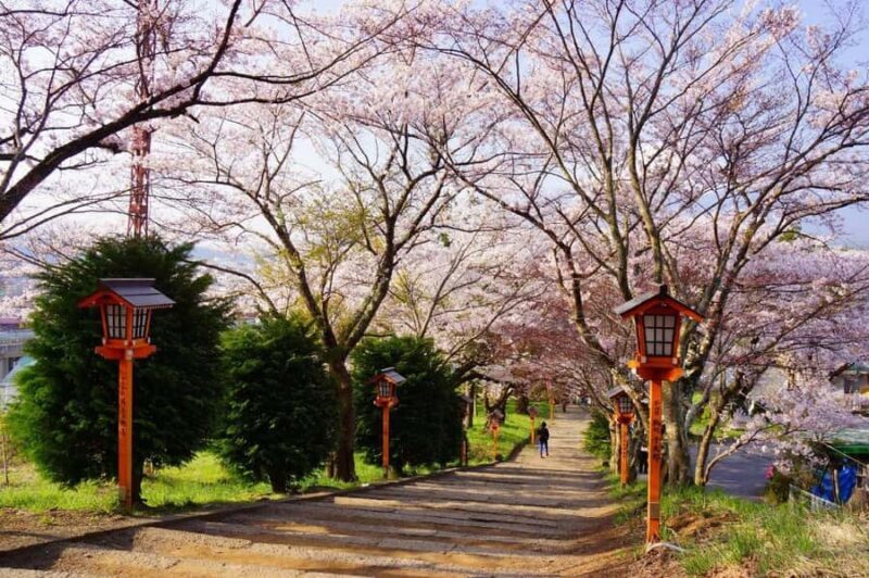 From Tokyo: Mt. Fuji Day Trip - Pagoda, Lake & Village - FAQ