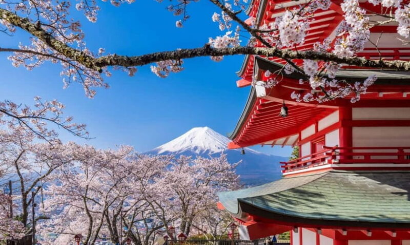 From Tokyo: Mt. Fuji Five Lakes Private Tour with Guide - Exploring the Mt. Fuji Five Lakes Private Tour from Tokyo