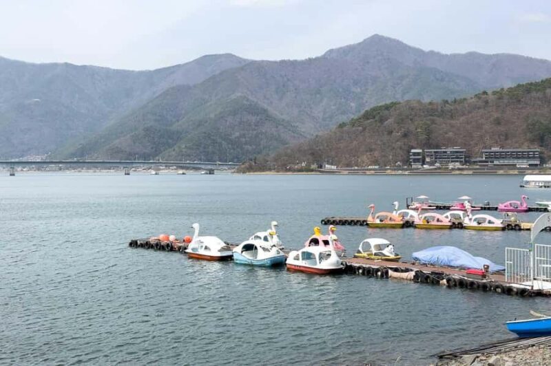 From Tokyo Mt Fuji Hakone Private Customizable Day By Guide - An In-Depth Look at the Tour Experience