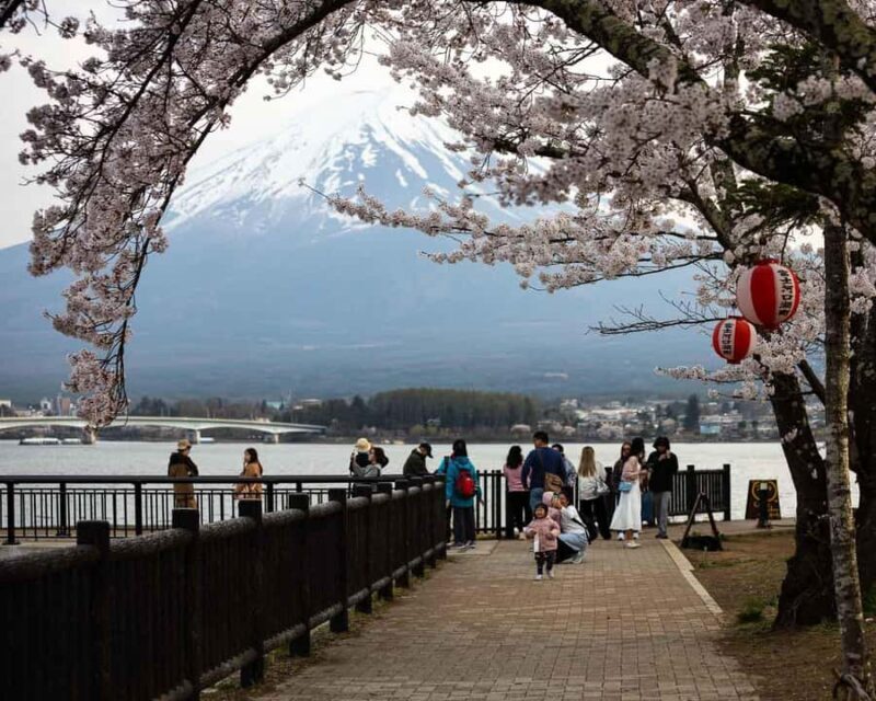 From Tokyo Mt Fuji Hakone Private Customizable Day By Guide - Authentic Experiences and Visual Highlights