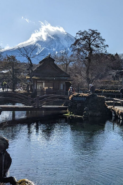 From Tokyo: Mt. Fuji & Hakone Tour w/ Return by Bullet Train - The Practical Side — Transport, Timing, and Value
