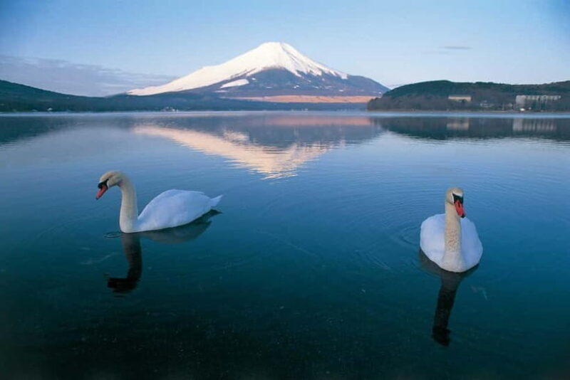 From Tokyo: Mt Fuji & Kawaguchi Lake private day trip - An Honest Look at the Experience