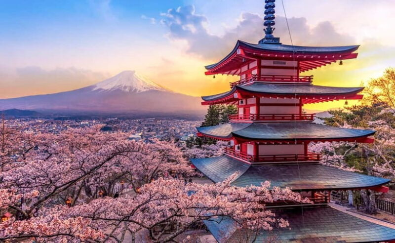 From Tokyo: Mt Fuji & Kawaguchi Lake private day trip - What Makes This Tour Special?