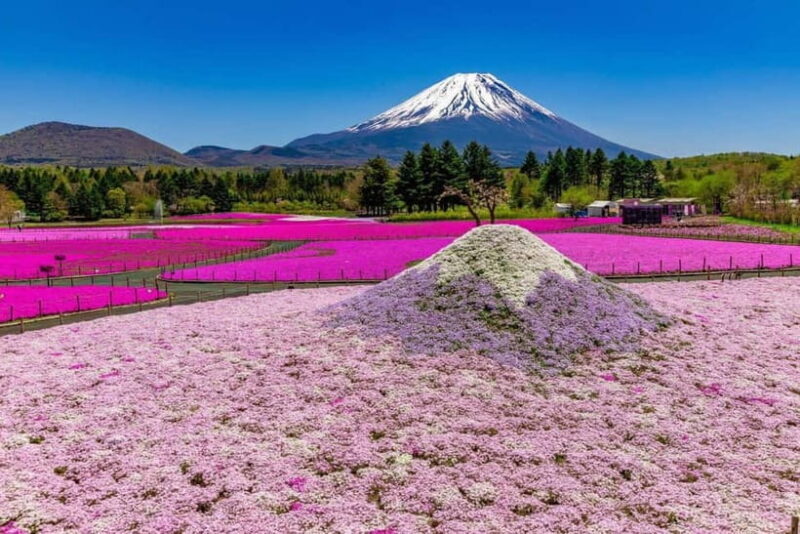 From Tokyo: Mt Fuji & Kawaguchi Lake private day trip - FAQs