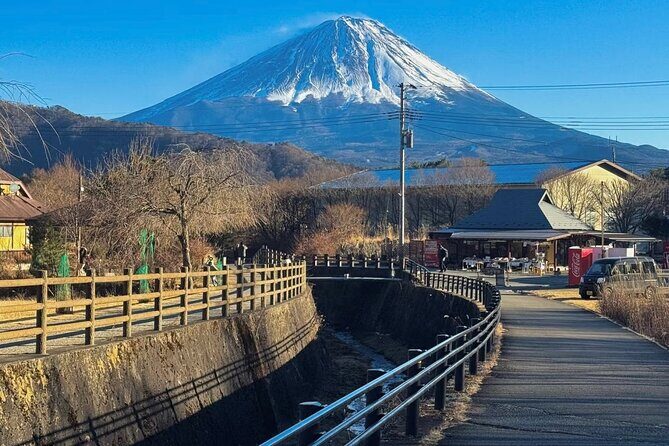 From Tokyo Mt.Fuji, Lake Kawaguchi, Makaino Farm day tour - Who Should Consider This Tour?