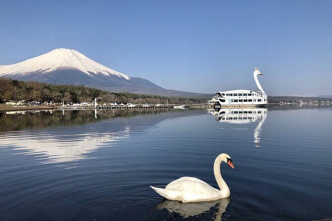 From Tokyo: Mt Fuji Lawson & Mt. Fuji Iconic Lakes 1-Day Bus Tour - Diving into the Experience: What the Tour Offers